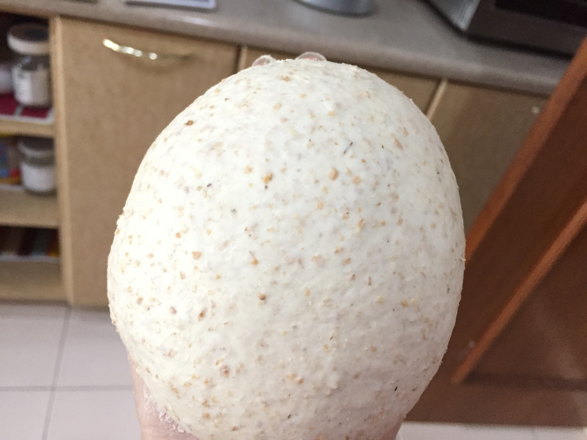 Crusty Country Wholemeal Rolls – Olady Bakes