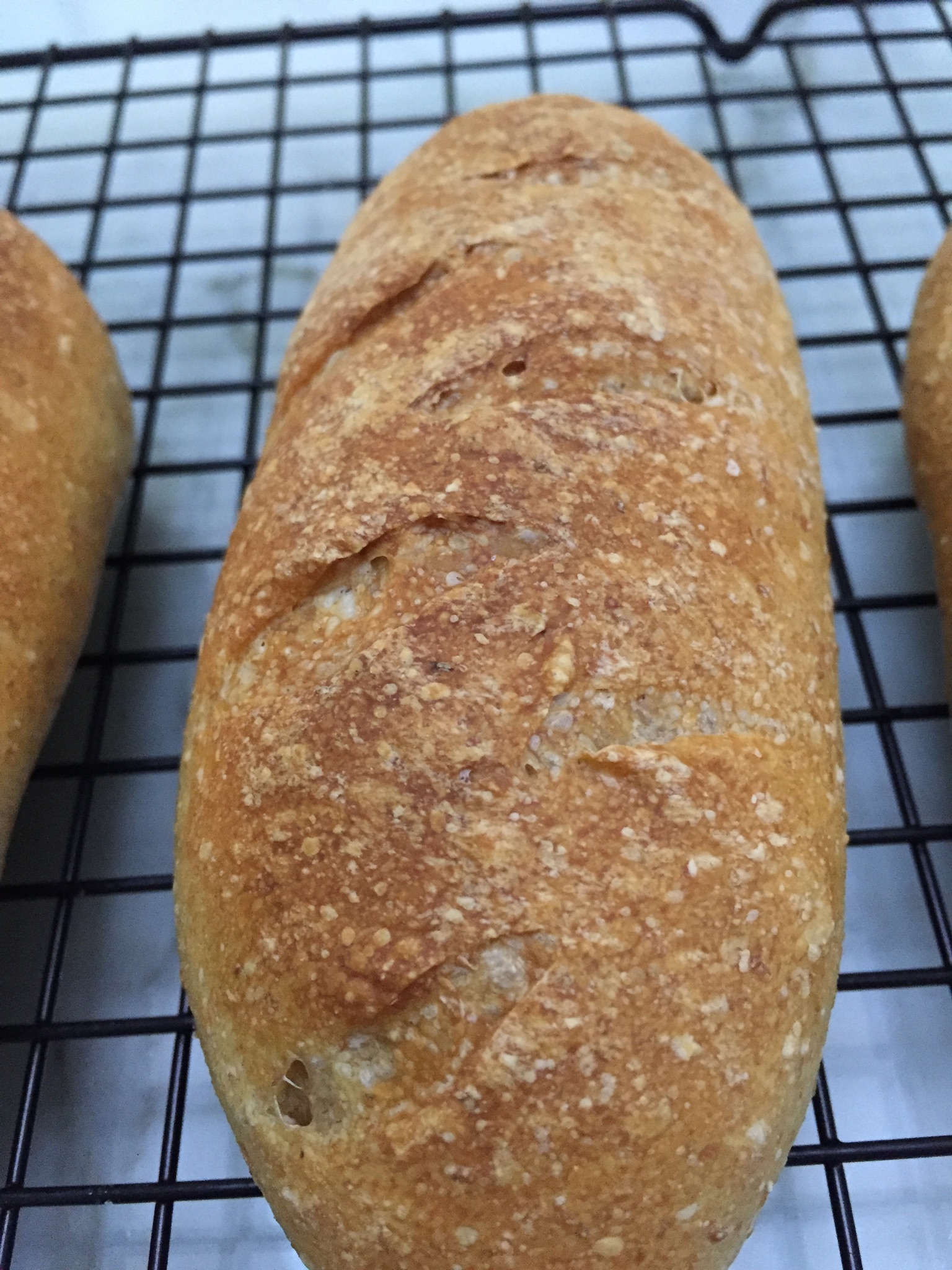 Crusty Country Wholemeal Rolls – Olady Bakes