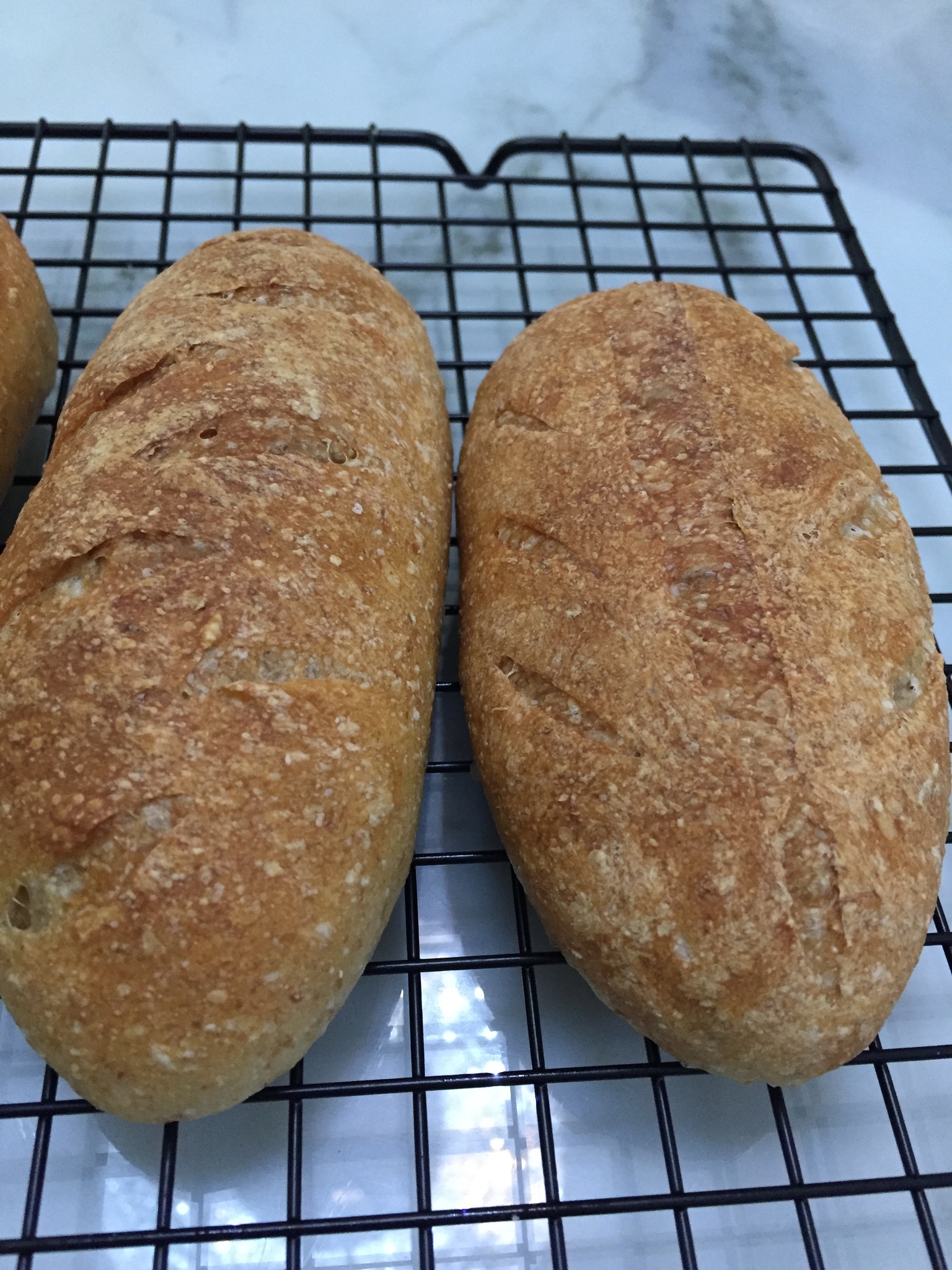 Crusty Country Wholemeal Rolls – Olady Bakes