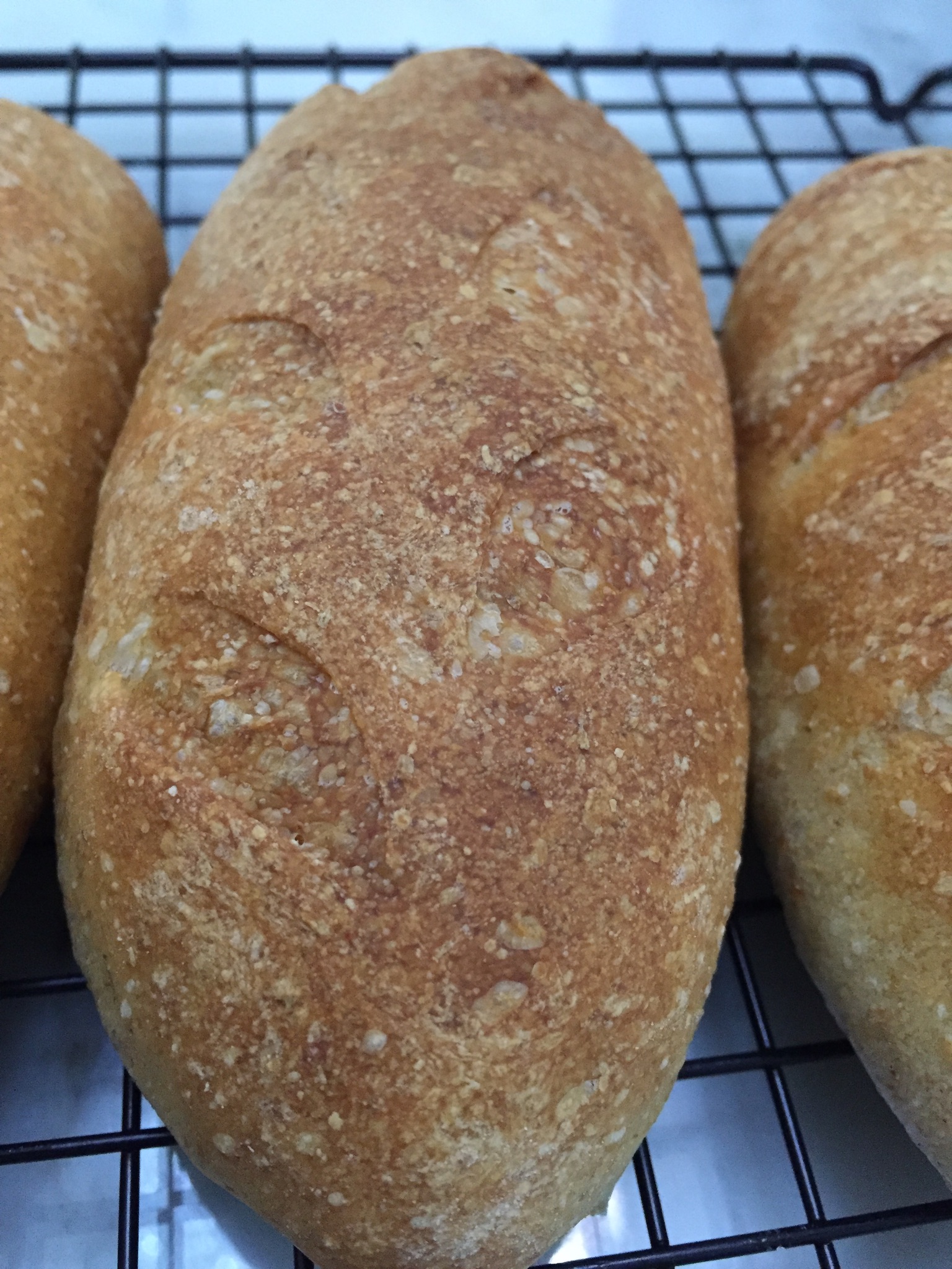Crusty Country Wholemeal Rolls – Olady Bakes