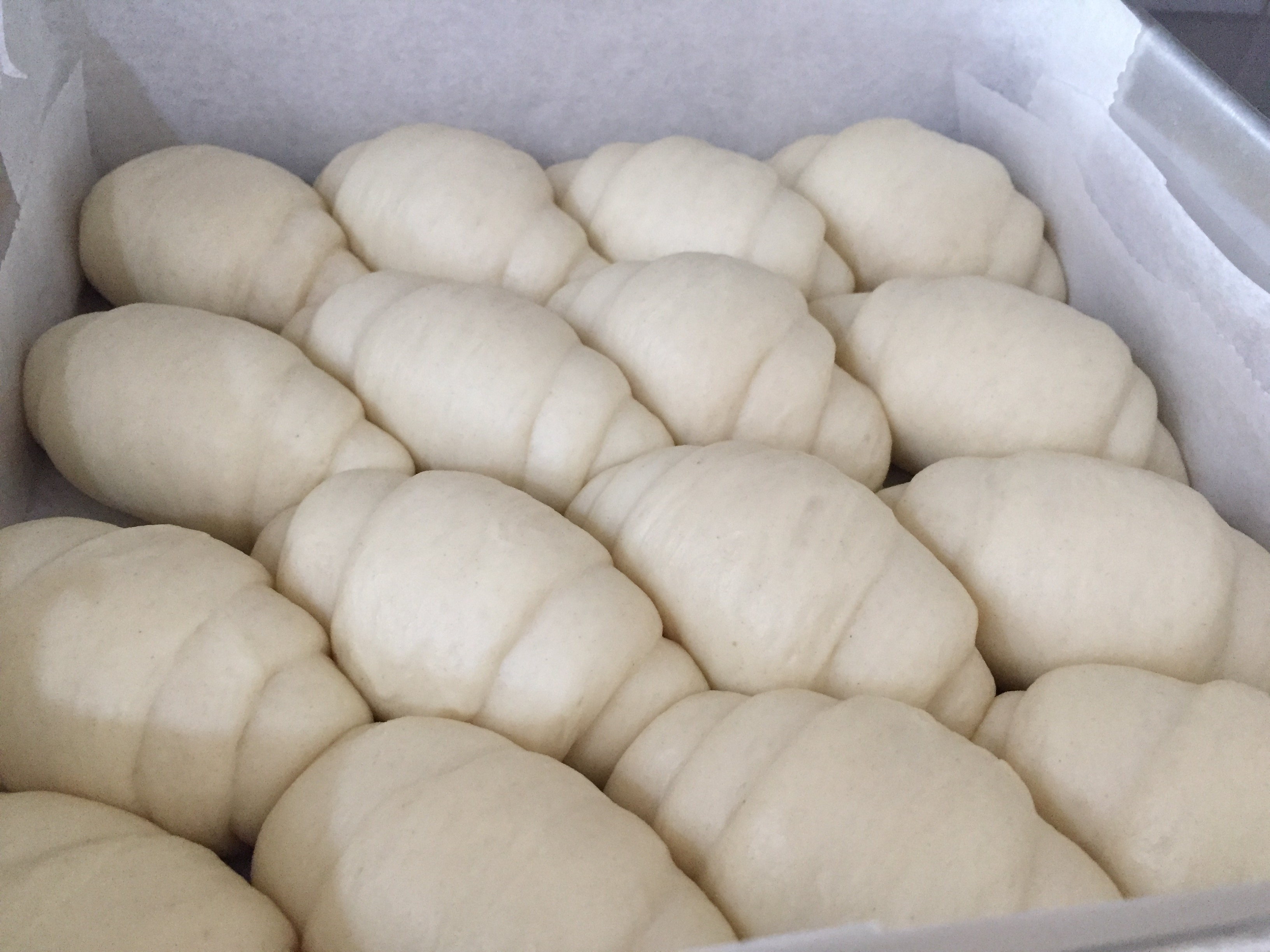 Pull Apart Mini Rolls (Dairy cream and honey) – Olady Bakes