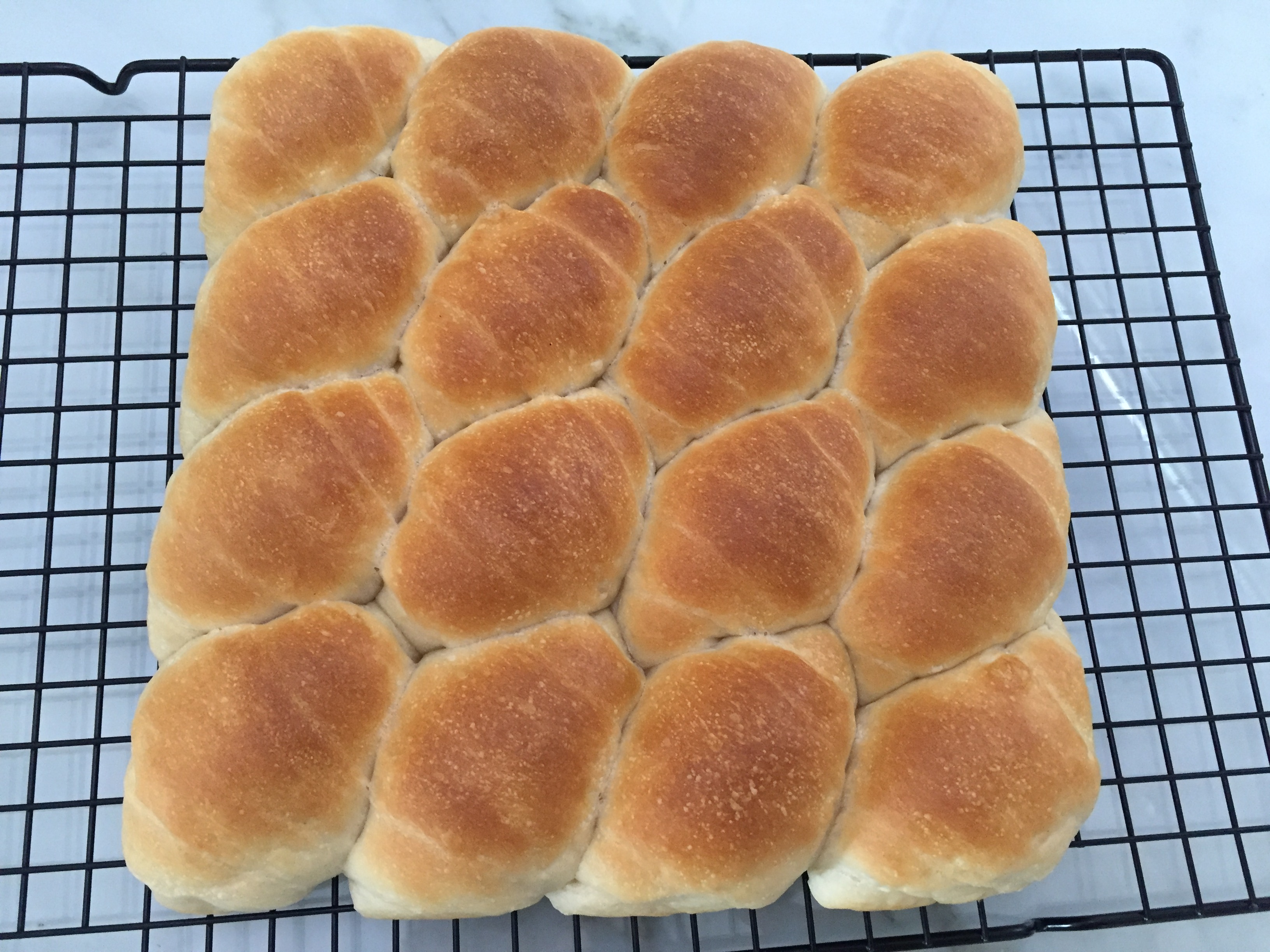 Pull Apart Mini Rolls (Dairy cream and honey) – Olady Bakes