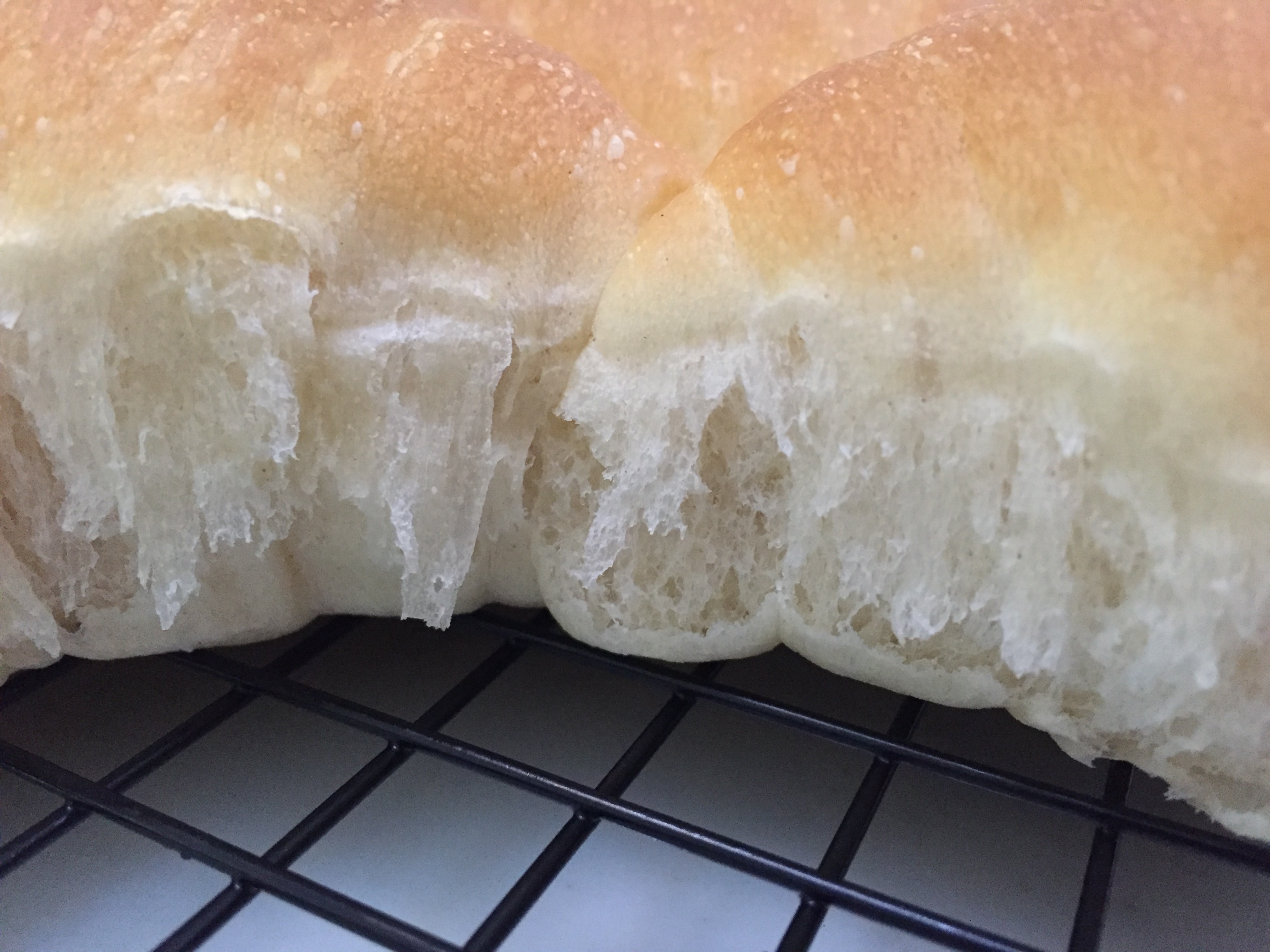 Pull Apart Mini Rolls (Dairy cream and honey) – Olady Bakes